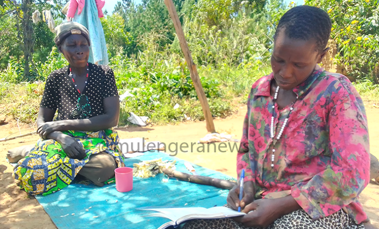 Kampala Market and Ojibari Successes Pave Way for Adraka Solar-Powered ...