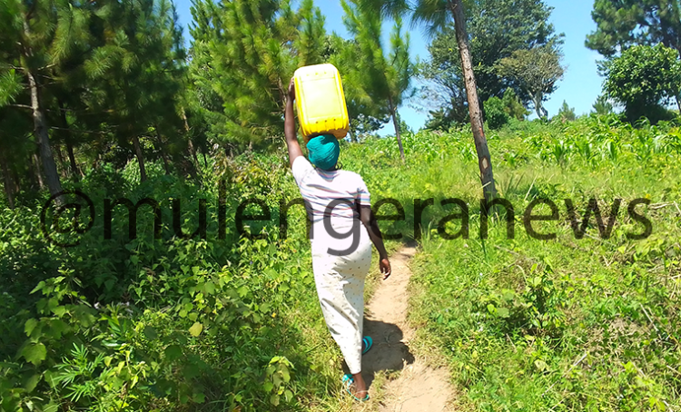Kampala Market and Ojibari Successes Pave Way for Adraka Solar-Powered ...
